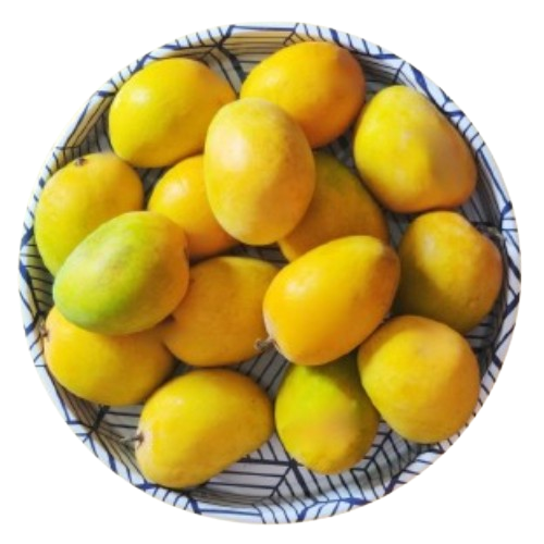 Kesar Mango – https://mangoholicks.com